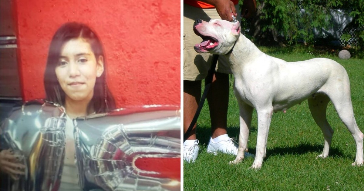 Dos dogos escaparon y mataron a una chica de 15 años: qué dijo el ...